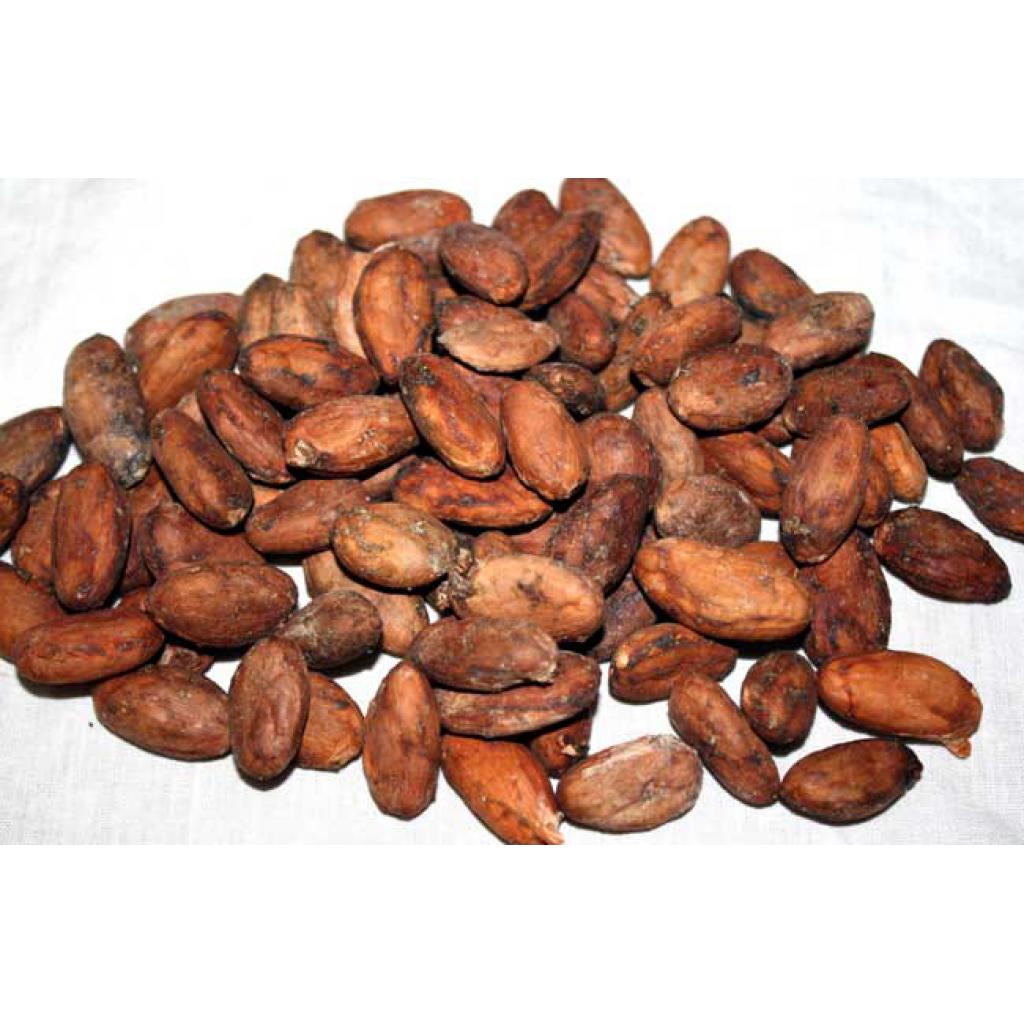 Cocoa Beans | Inspire Education